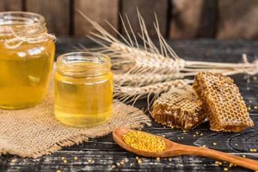 Prosta 12fach-Komplex Kapseln | lysania.com